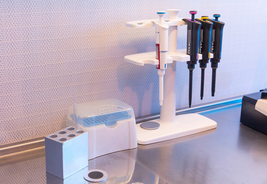 Bellesa Images – Browse 46 Stock Photos, Vectors, and Video | Adobe Stock