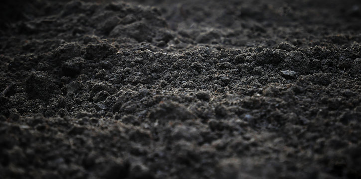 "Soil Background" bilder – Bläddra bland 982 stockfoton, vektorer och ...