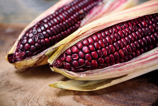 "Purple Corn Images – Browse 17,424 Stock Photos, Vectors, and Video ...