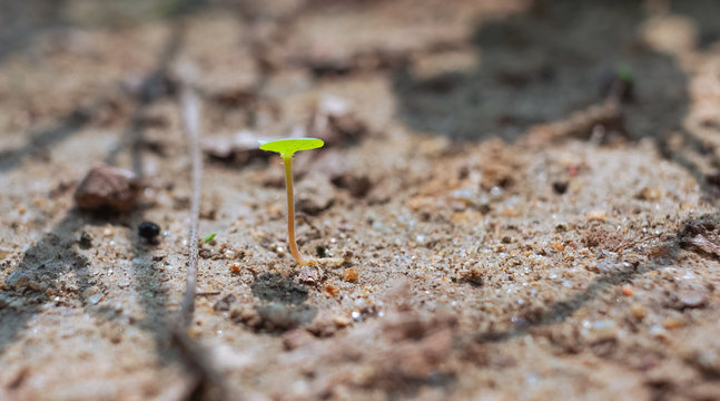 รูปภาพTorridity – เลือกดูภาพถ่ายสต็อก เวกเตอร์ และวิดีโอ198 | Adobe Stock