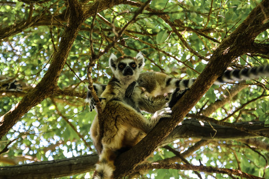 "Anja-Bilder: Stock-Fotos & -Videos. | Adobe Stock