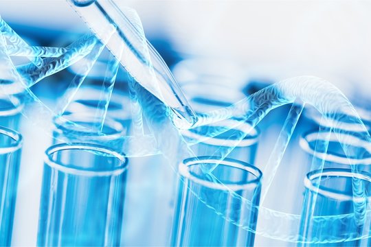 รูปภาพReagents – เลือกดูภาพถ่ายสต็อก เวกเตอร์ และวิดีโอ66,411 | Adobe Stock