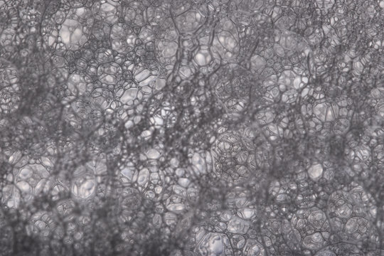 62 BEST Oam IMAGES, STOCK PHOTOS & VECTORS | Adobe Stock