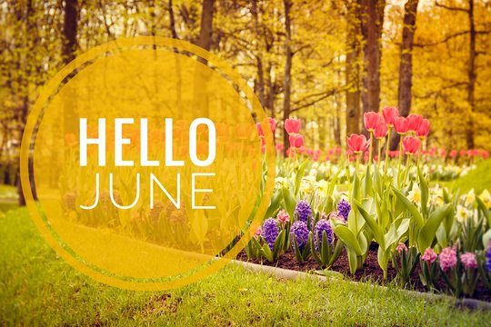 Hello June Facebook Cover