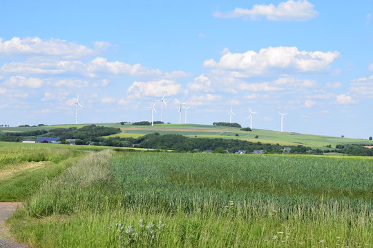 Winrad Bilder – Durchsuchen 62 Archivfotos, Vektorgrafiken und Videos ...