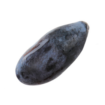 Kinnip bilder – Bläddra bland 3,220 stockfoton, vektorer och videor ...