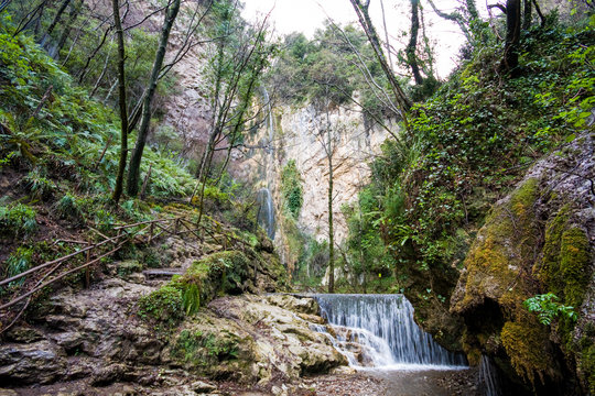 Lattari Images – Browse 6 Stock Photos, Vectors, and Video | Adobe Stock