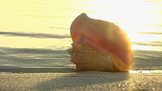 รูปภาพLock-Off – เลือกดูภาพถ่ายสต็อก เวกเตอร์ และวิดีโอ374 | Adobe Stock