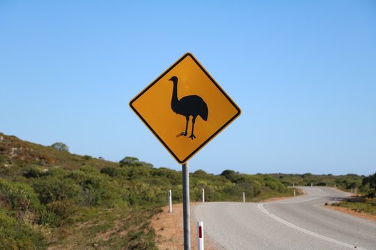 653 BEST Queensland Road Sign IMAGES, STOCK PHOTOS & VECTORS | Adobe Stock