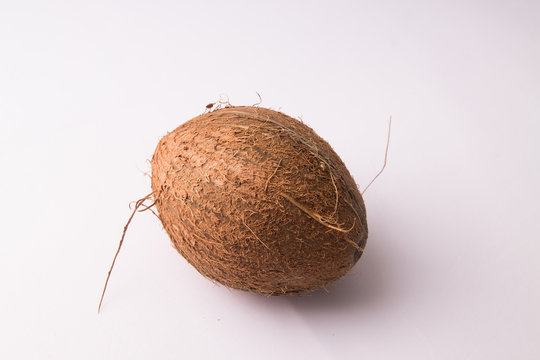 「Coconat」の写真素材 | 362件の無料イラスト画像 | Adobe Stock