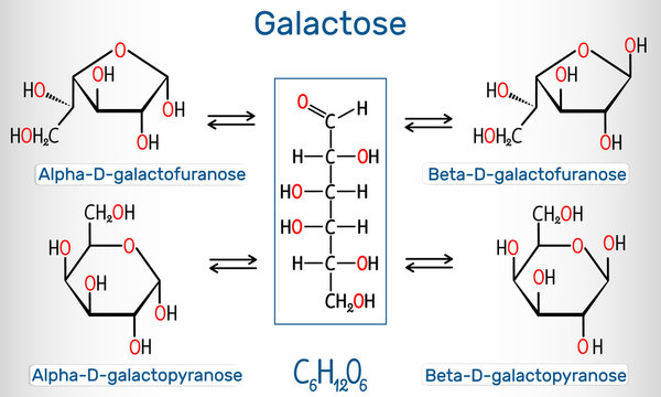 รูปภาพGalactose – เลือกดูภาพถ่ายสต็อก เวกเตอร์ และวิดีโอ889 | Adobe Stock