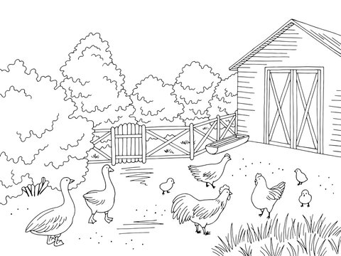 Farm Black And White Drawing