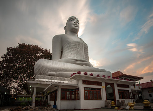 Bahirawa Bilder – Durchsuchen 61 Archivfotos, Vektorgrafiken und Videos ...