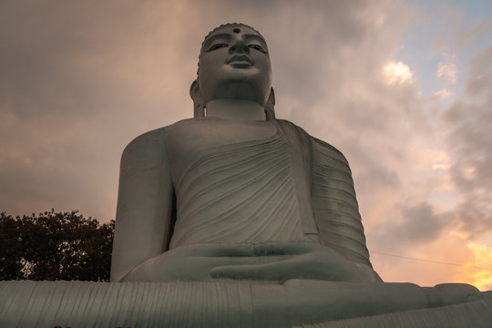 Bahirawa bilder – Bläddra bland 63 stockfoton, vektorer och videor ...