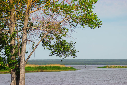 Rea Bilder – Durchsuchen 1,972 Archivfotos, Vektorgrafiken und Videos ...