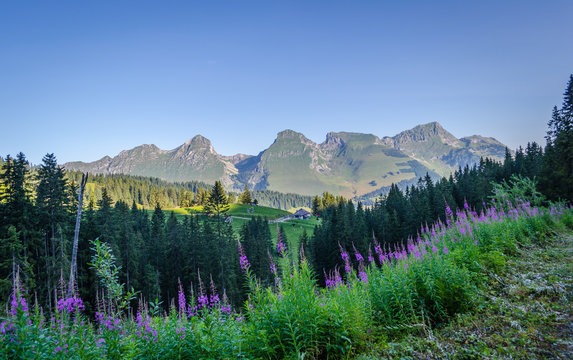 Alentour Images – Parcourir 83 le catalogue de photos, vecteurs et ...