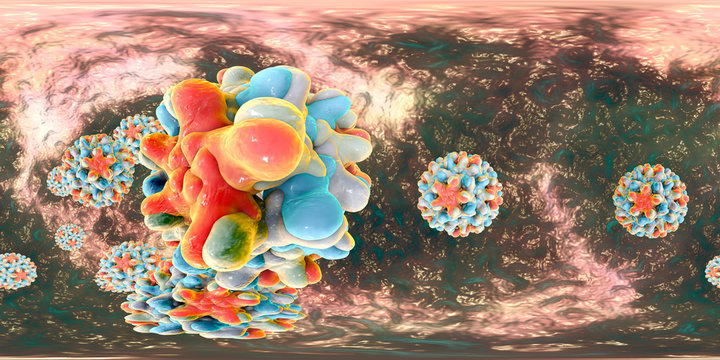 รูปภาพHepadnavirus – เลือกดูภาพถ่ายสต็อก เวกเตอร์ และวิดีโอ359 | Adobe ...