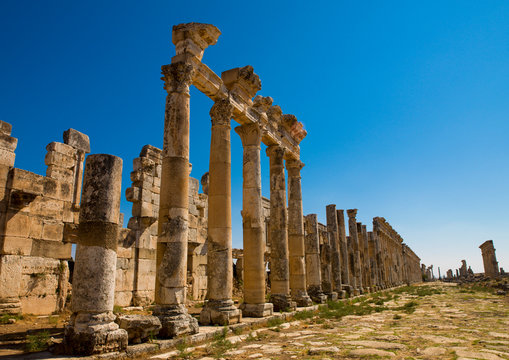 「Septi」の画像 - 385 件の Stock 写真、ベクターおよびビデオ | Adobe Stock