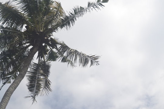 Panati Images – Browse 875 Stock Photos, Vectors, and Video | Adobe Stock