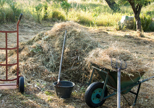 Heu bilder – Bläddra bland 26,246 stockfoton, vektorer och videor ...