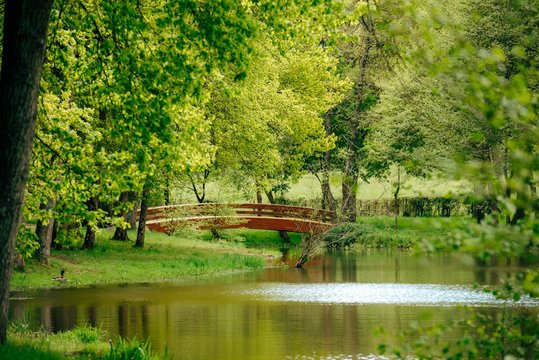 "Bord Du Lac" Imagens – Procure 1,832 fotos, vetores e vídeos | Adobe Stock