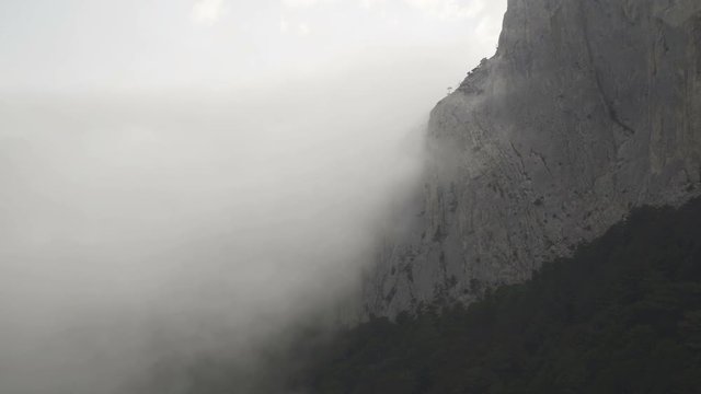 Imagens de Majestical – Explore Fotografias do Stock, Vetores e Vídeos ...