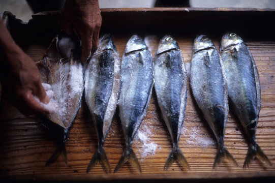 Inured Bilder – Durchsuchen 1,824 Archivfotos, Vektorgrafiken und ...