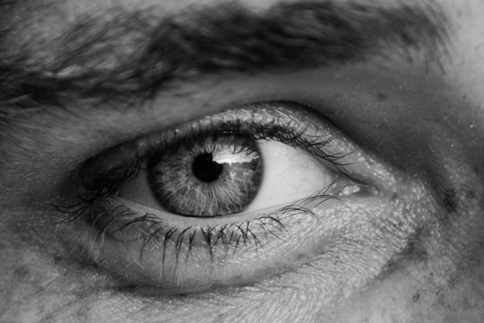 Oeuil Images – Browse 101 Stock Photos, Vectors, and Video | Adobe Stock