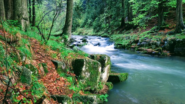 Rieka Images – Browse 69 Stock Photos, Vectors, and Video | Adobe Stock