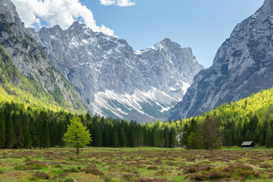 Resa Bilder – Durchsuchen 382 Archivfotos, Vektorgrafiken und Videos ...