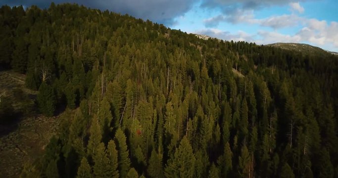 Challi Bilder – Durchsuchen 295 Archivfotos, Vektorgrafiken und Videos ...