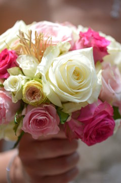 รูปภาพRoman_De_La_Rose – เลือกดูภาพถ่ายสต็อก เวกเตอร์ และวิดีโอ472 ...