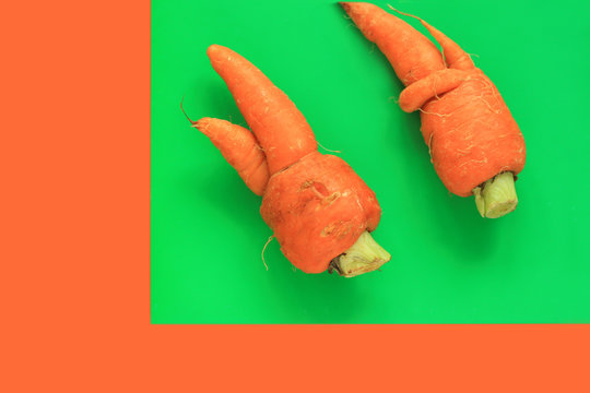 Duoton Bilder – Durchsuchen 87 Archivfotos, Vektorgrafiken und Videos ...