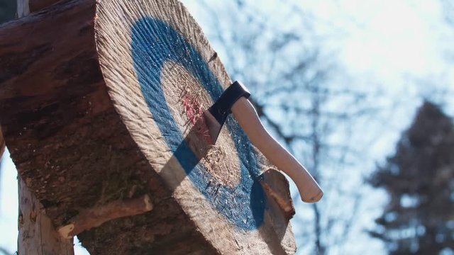 Axe Target Images – Browse 2,853 Stock Photos, Vectors, and Video ...