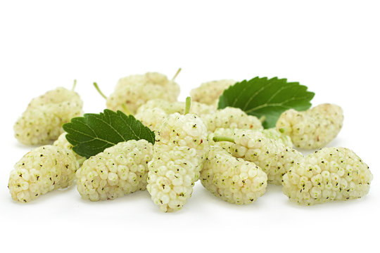 Malberry bilder – Bläddra bland 182 stockfoton, vektorer och videor ...