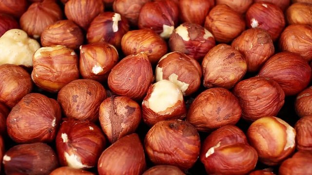 "Turkish Hazelnut" Images – Browse 803 Stock Photos, Vectors, and Video ...