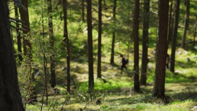 รูปภาพFade-In – เลือกดูภาพถ่ายสต็อก เวกเตอร์ และวิดีโอ241 | Adobe Stock