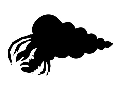 Soldier-Crab Images – Browse 85 Stock Photos, Vectors, and Video ...