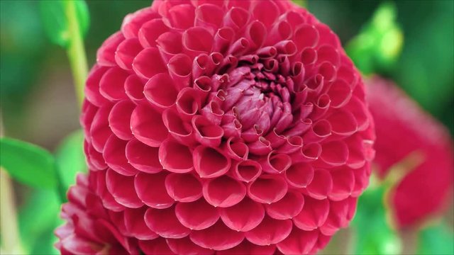 067 Stock ビデオ : HD および 4K のビデオクリップ 48 本 | Adobe Stock