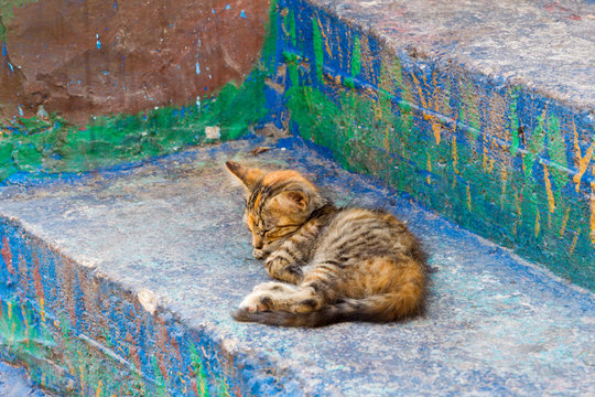 DIE 6,955 BESTEN BILDER, STOCK-FOTOS UND -VEKTORGRAFIKEN ZU „Tangier ...