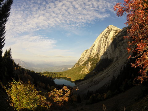 Imagens de Benzer – Explore Fotografias do Stock, Vetores e Vídeos de ...