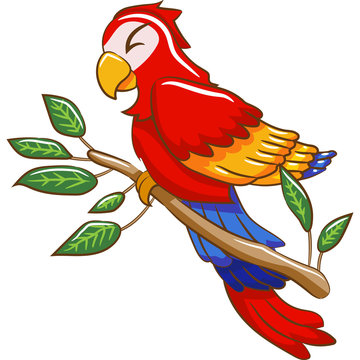 Parrots Clipart