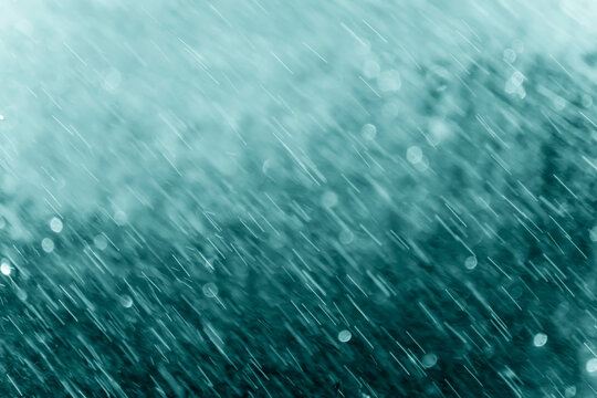 Free Rain Images – Browse 6,653 Free Stock Photos, Vectors, and Video ...