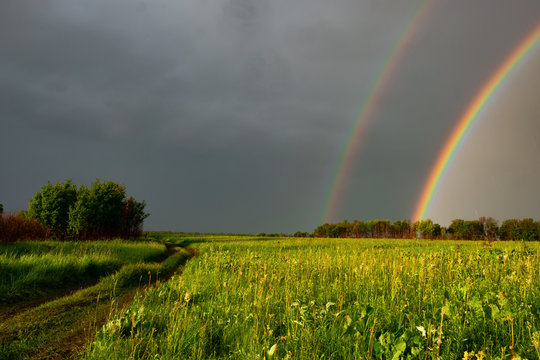 รูปภาพSunbow – เลือกดูภาพถ่ายสต็อก เวกเตอร์ และวิดีโอ466 | Adobe Stock