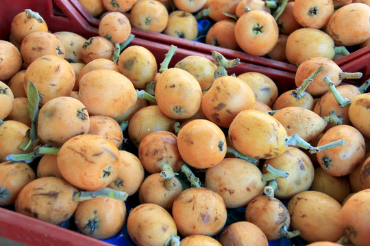 รูปภาพNefles – เลือกดูภาพถ่ายสต็อก เวกเตอร์ และวิดีโอ9 | Adobe Stock