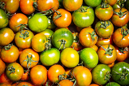 Camone Images – Browse 44 Stock Photos, Vectors, and Video | Adobe Stock