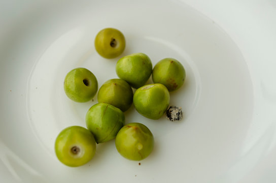 Hogberry Images – Browse 26 Stock Photos, Vectors, and Video | Adobe Stock