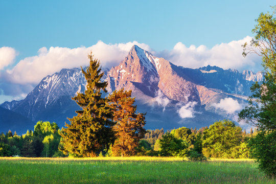 Krivan Bilder – Durchsuchen 2,338 Archivfotos, Vektorgrafiken und ...