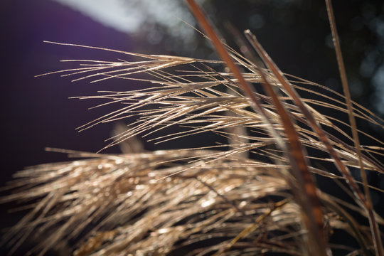 Alex Papp photos, images, assets | Adobe Stock