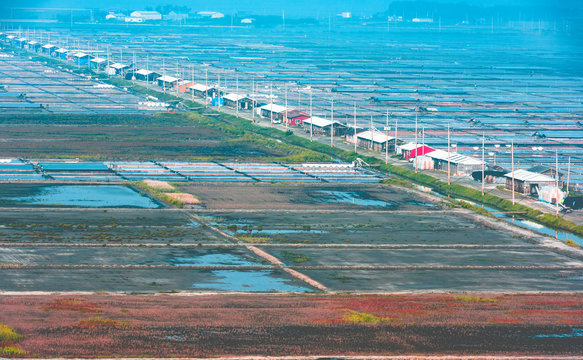 「Daebudo」の写真素材 | 116件の無料イラスト画像 | Adobe Stock